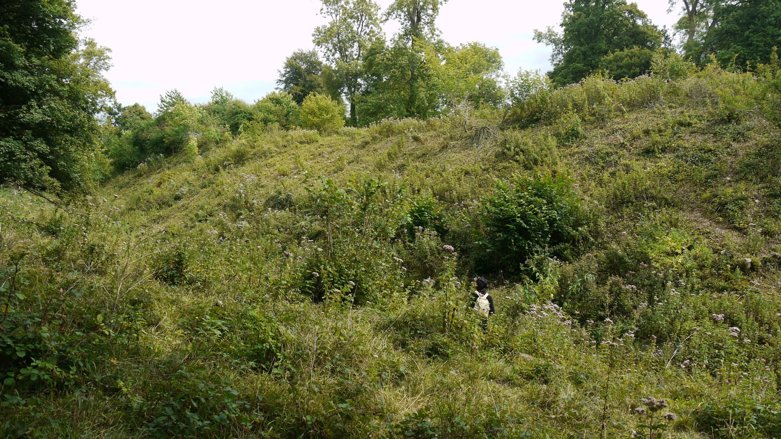 Leigh Woods Bristol - Britain All Over Travel Guide