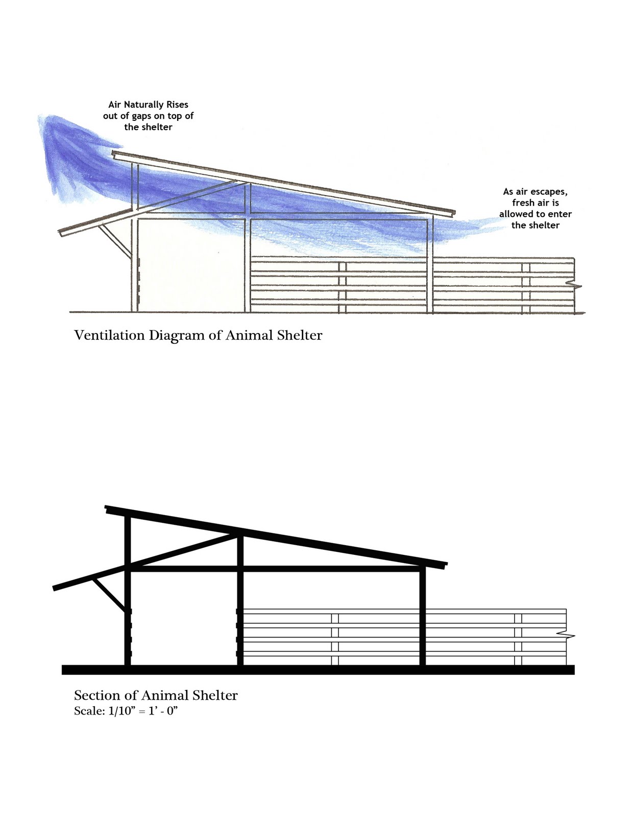 Haiti Agricultural Institute: Cattle Pasture and Shelter