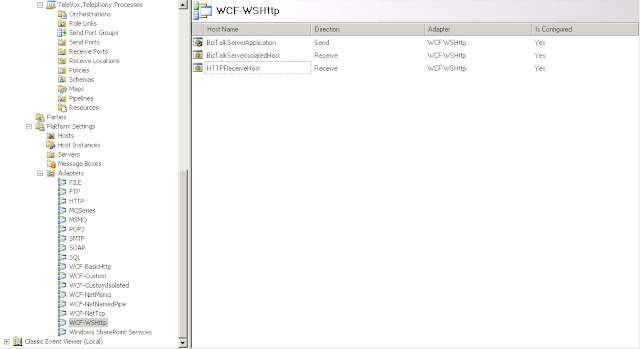 IT Architecture and Software Development Musings: ESB Toolkit 2.0 Multi ...