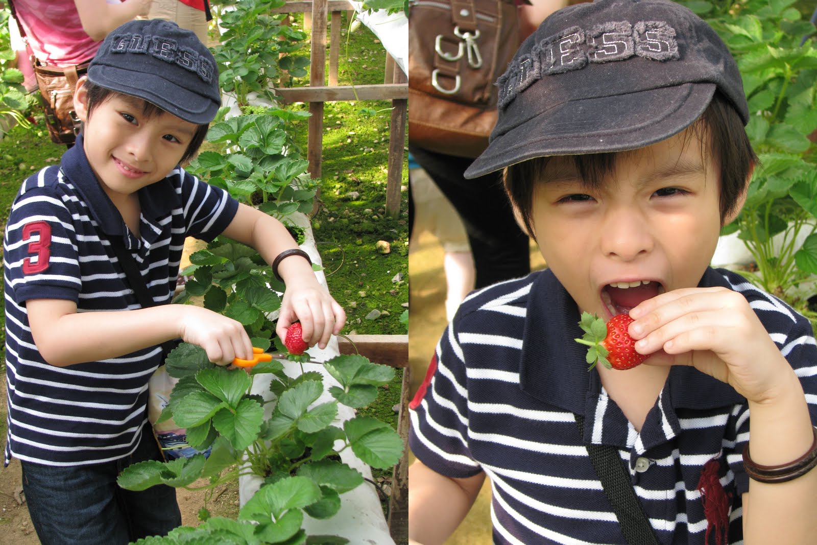 50% Rachel + 50% Elvin = 100% Dylan & Dyllis