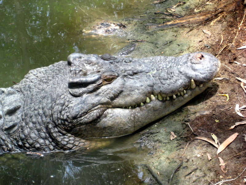 Two for the Road: Salties