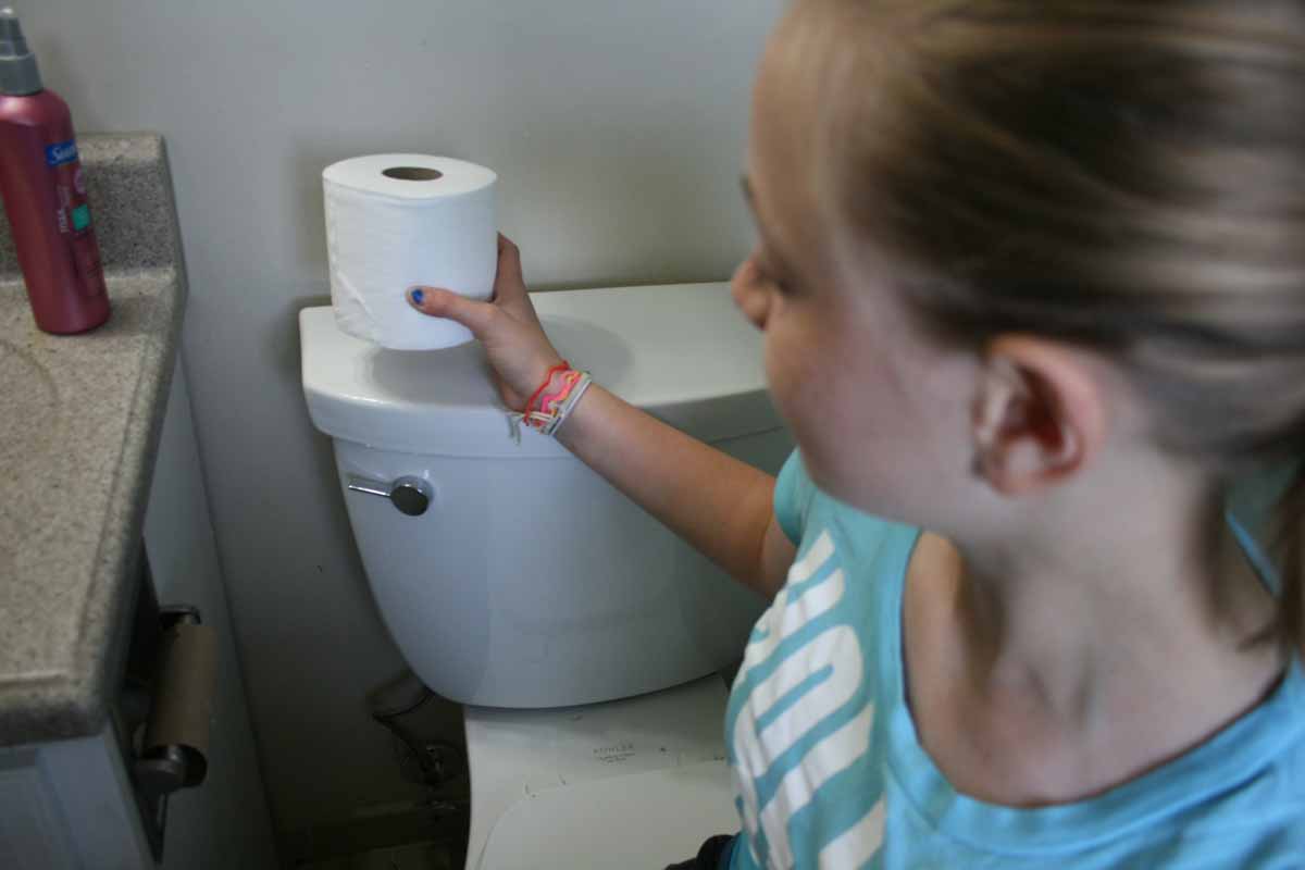 A Day at a Time: Dummies' Guide to Toilet Paper Etiquette