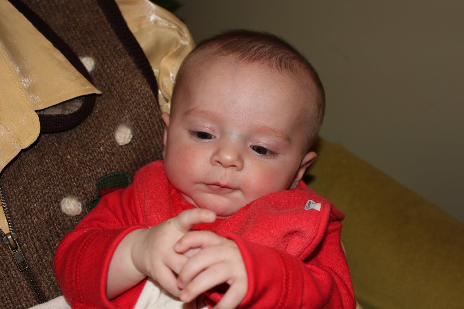 The life of Jaxon Scott and Gavin Thomas Wilson