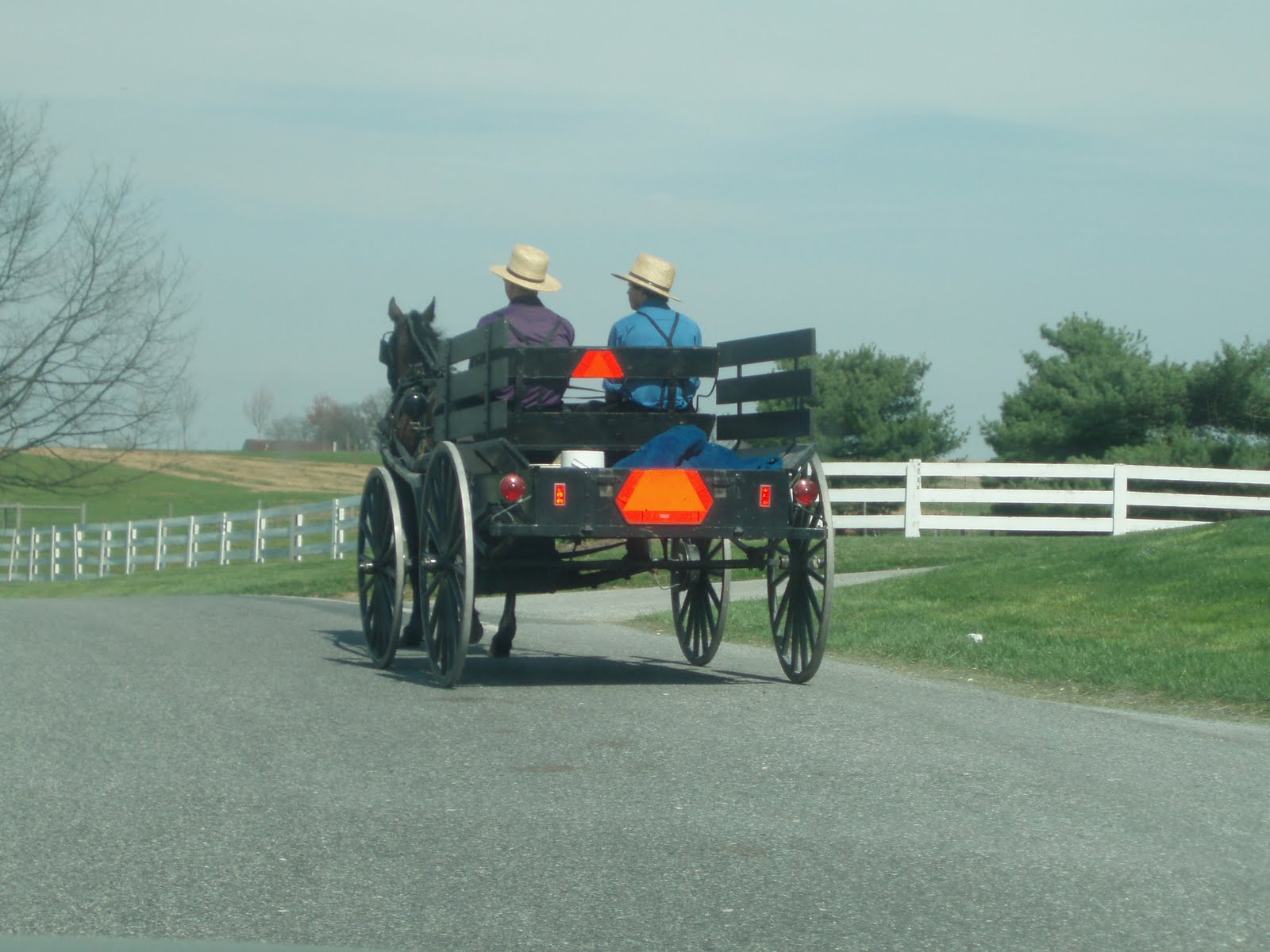 My Trip to Lancaster: Amish Farms - Suzanne Woods Fisher