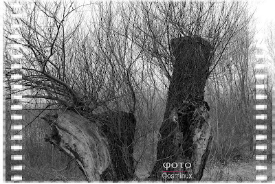 Fotografii si impresii: Alb şi Negru