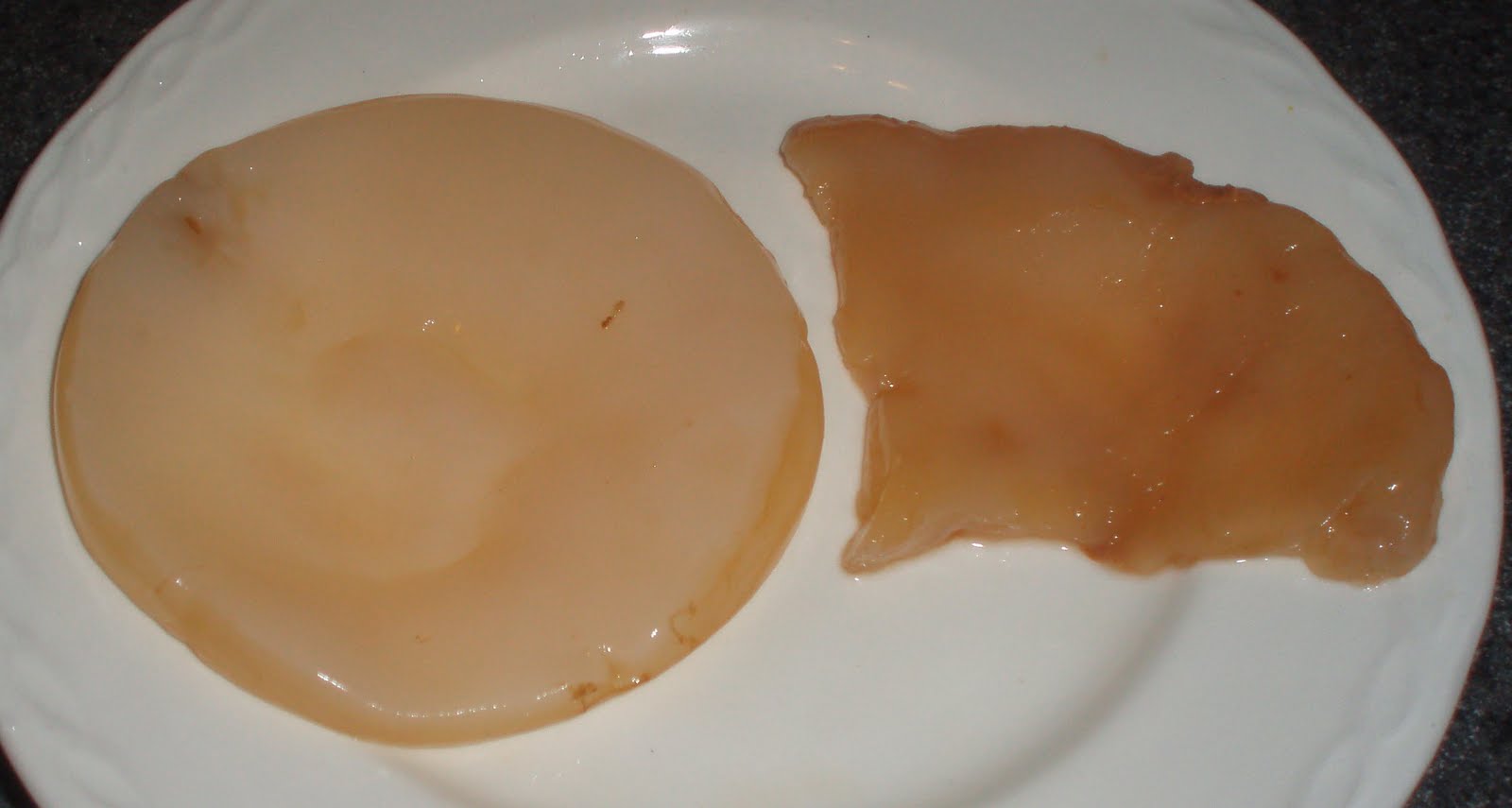 Kombucha Fuel: Experiment 2, Continued: Cutting the Kombucha Mother