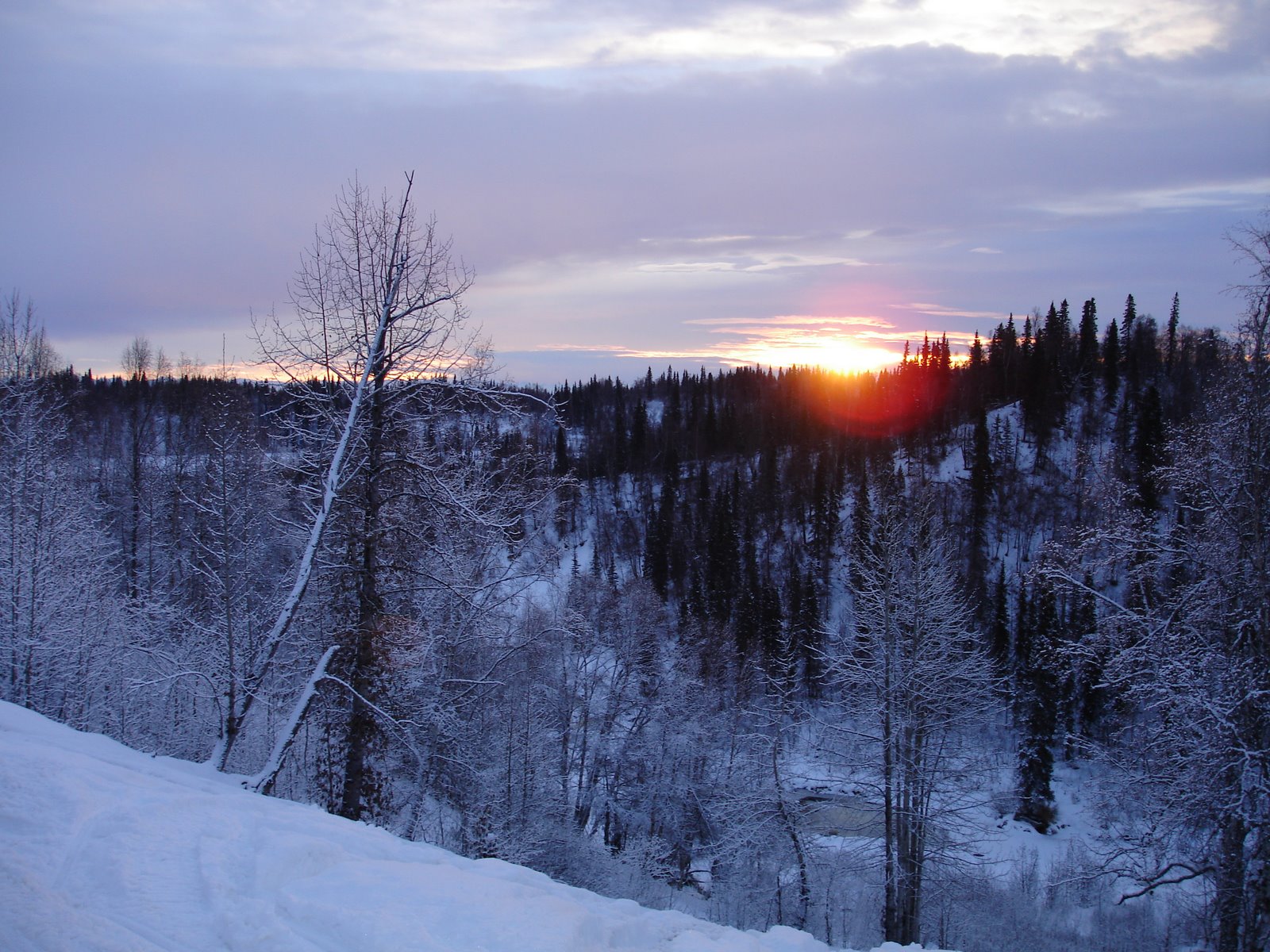 Shannon and Richard Oelkers: Thanksgiving Alaskan Style