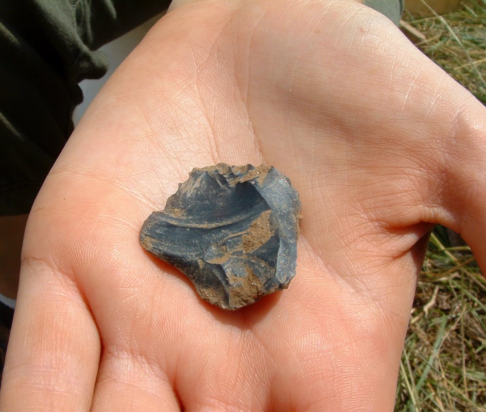 Colonial Cherokee Archaeology: Day 12 - "Snakes... Why Did it Have to ...