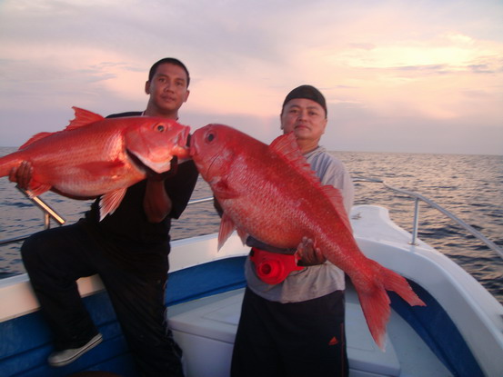 croxfiber - sportfishos lounge: ruby snapper