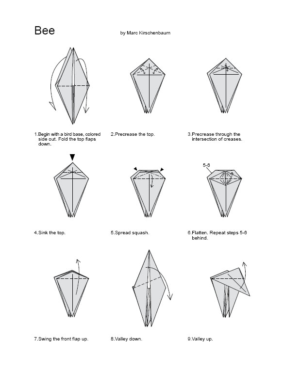 origami: An Example Of Bee Model
