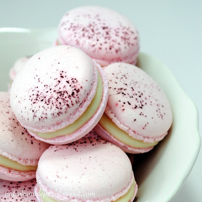 Not So Humble Pie: Rose Macarons (Not Safe For Snakes)