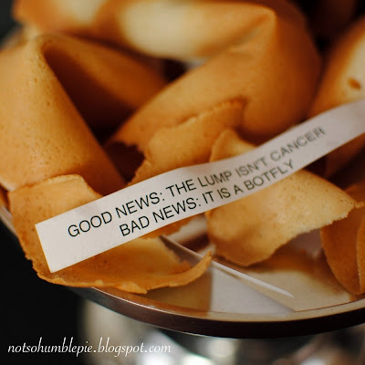 Not So Humble Pie: Misfortune Cookies
