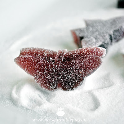 Not So Humble Pie: Fruit Gelées