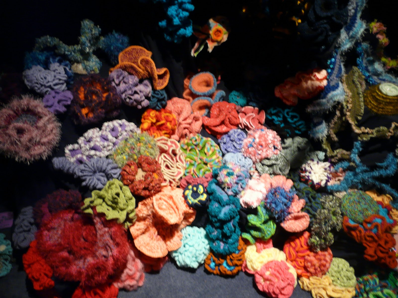 Precious Purl: Hyperbolic Crochet Coral Reef in Upwey!