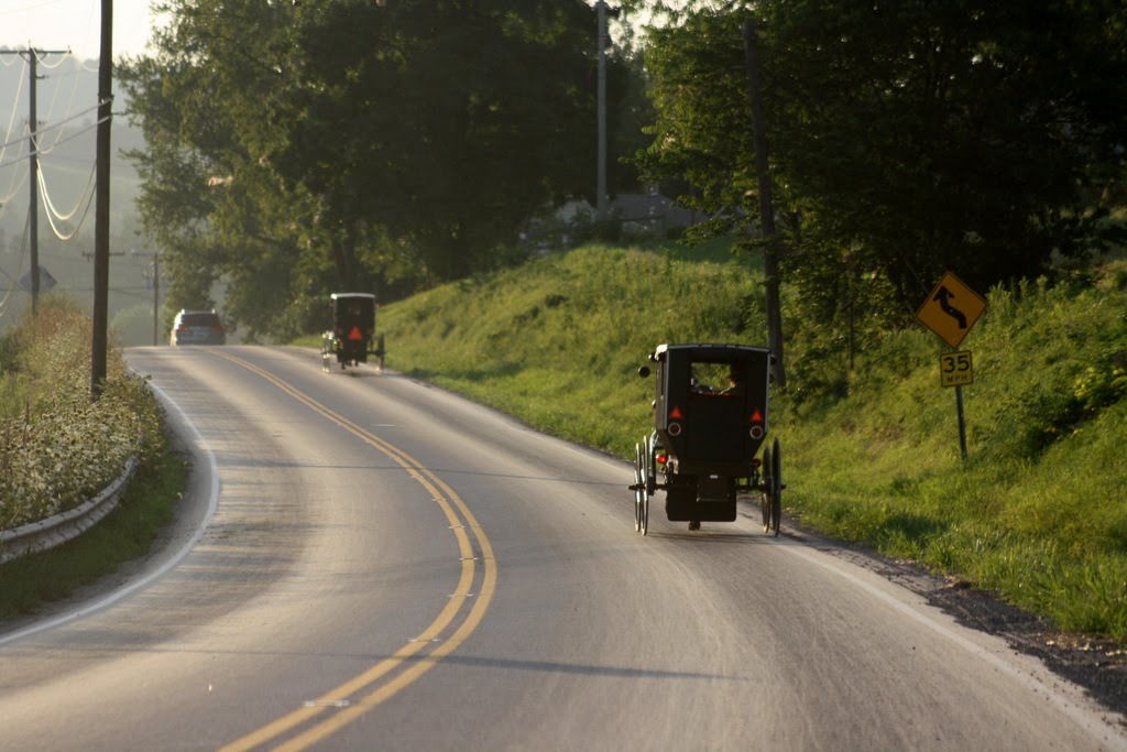 That's My Story....: Amish Buggies