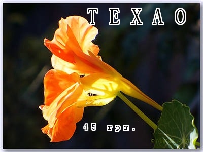 COSAS MIAS...: LOS TEXAO - Perú