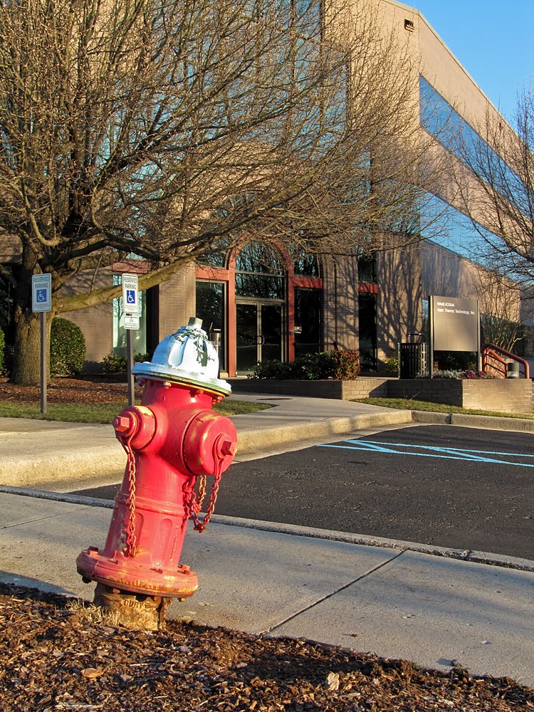 Fire Hydrants