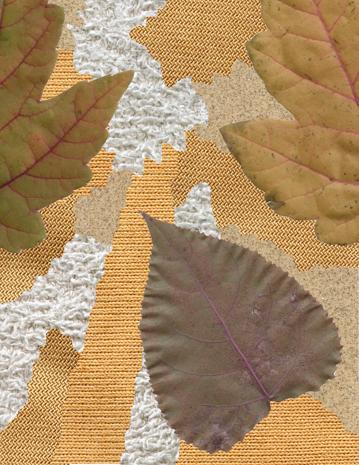 DI-F10-kpalys: Week 13: Texture Collage