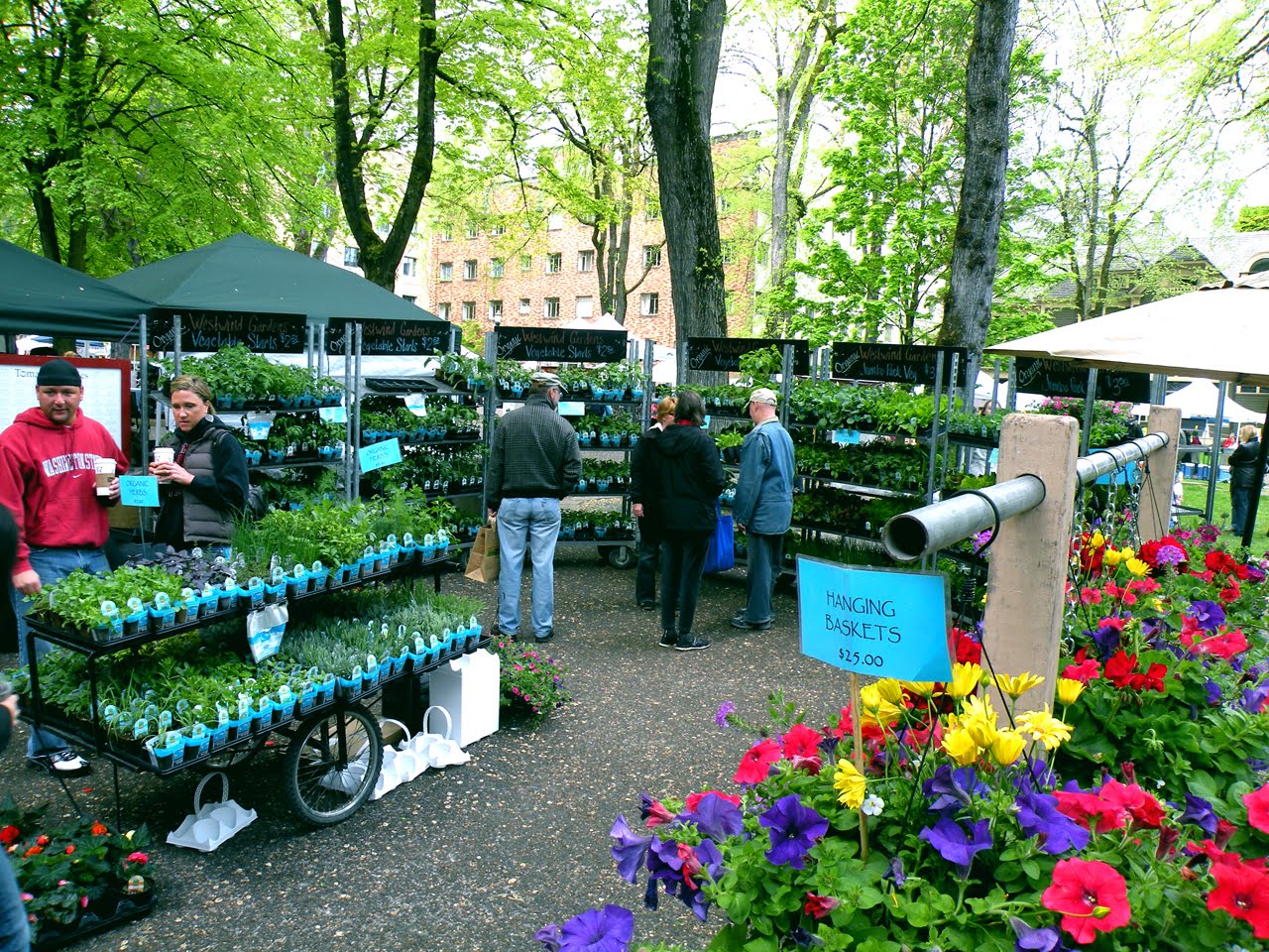 Buddha Bellies: Outdoor Markets