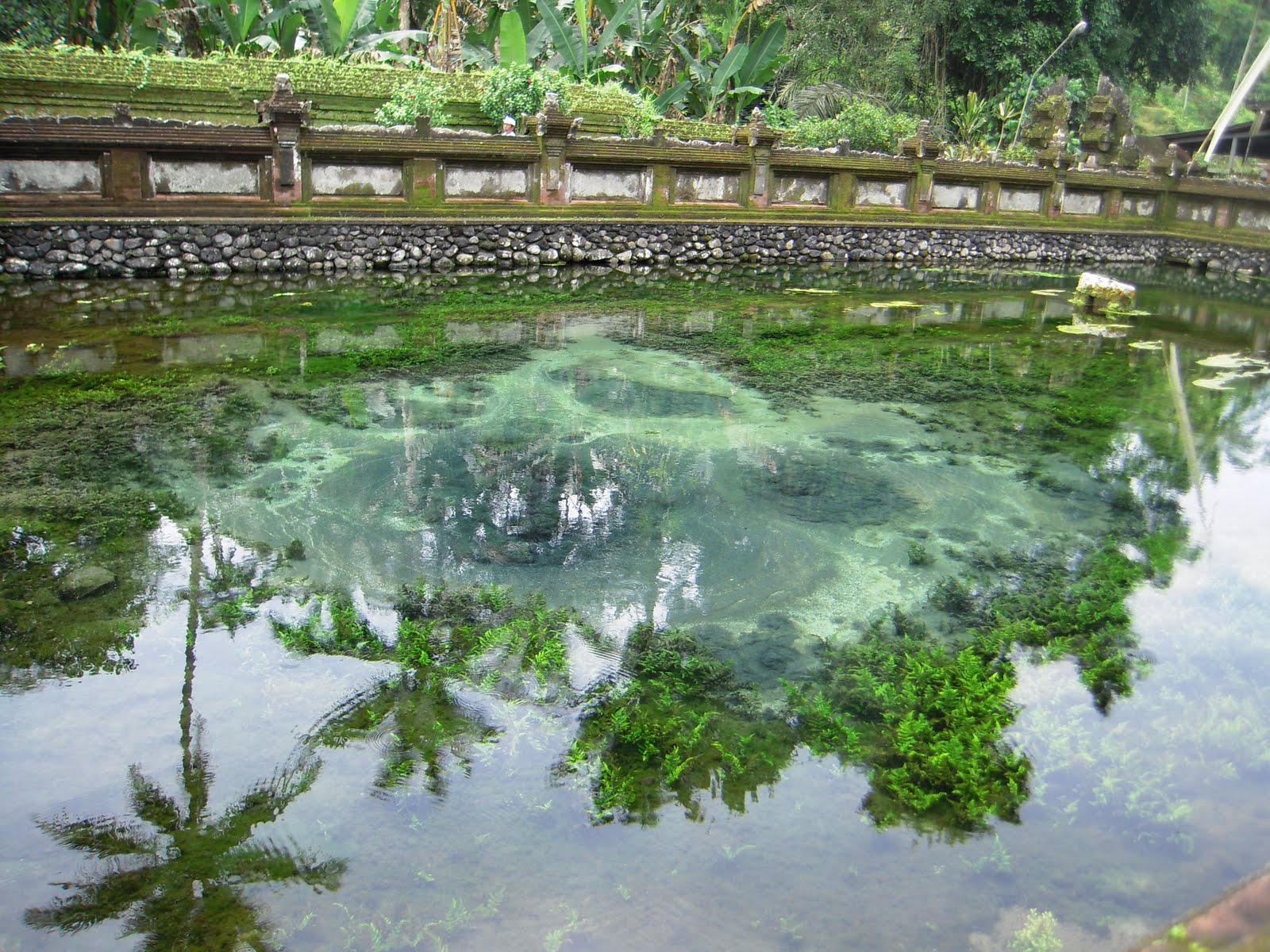 Buddha Bellies: Cultural Bali: Terraced Rice Fields and Temples