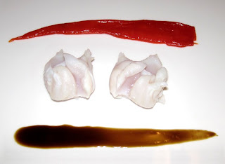 Jun Wang's Recipes: Cuttlefish Mouth with Grilled Chilli and Wasabi Sauce