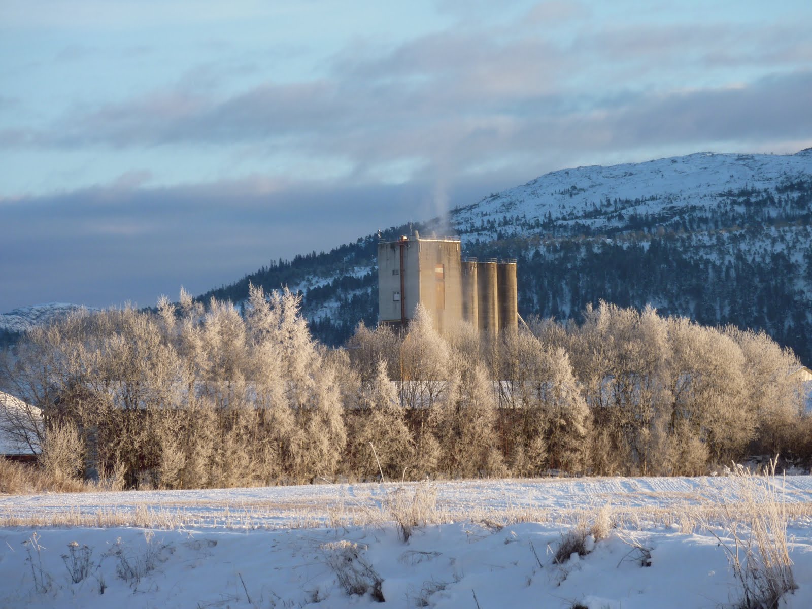 Sissel Anita's Creative Corner: Bilder fra Overhalla/Pictures from ...