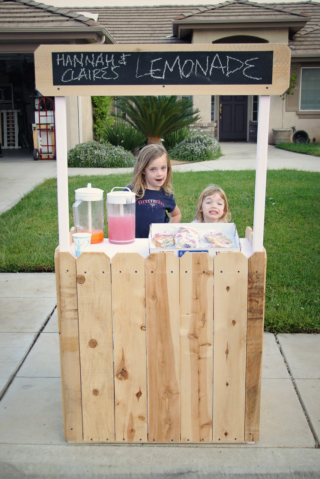 Frankly Speaking Too: Project: Lemonade Stand