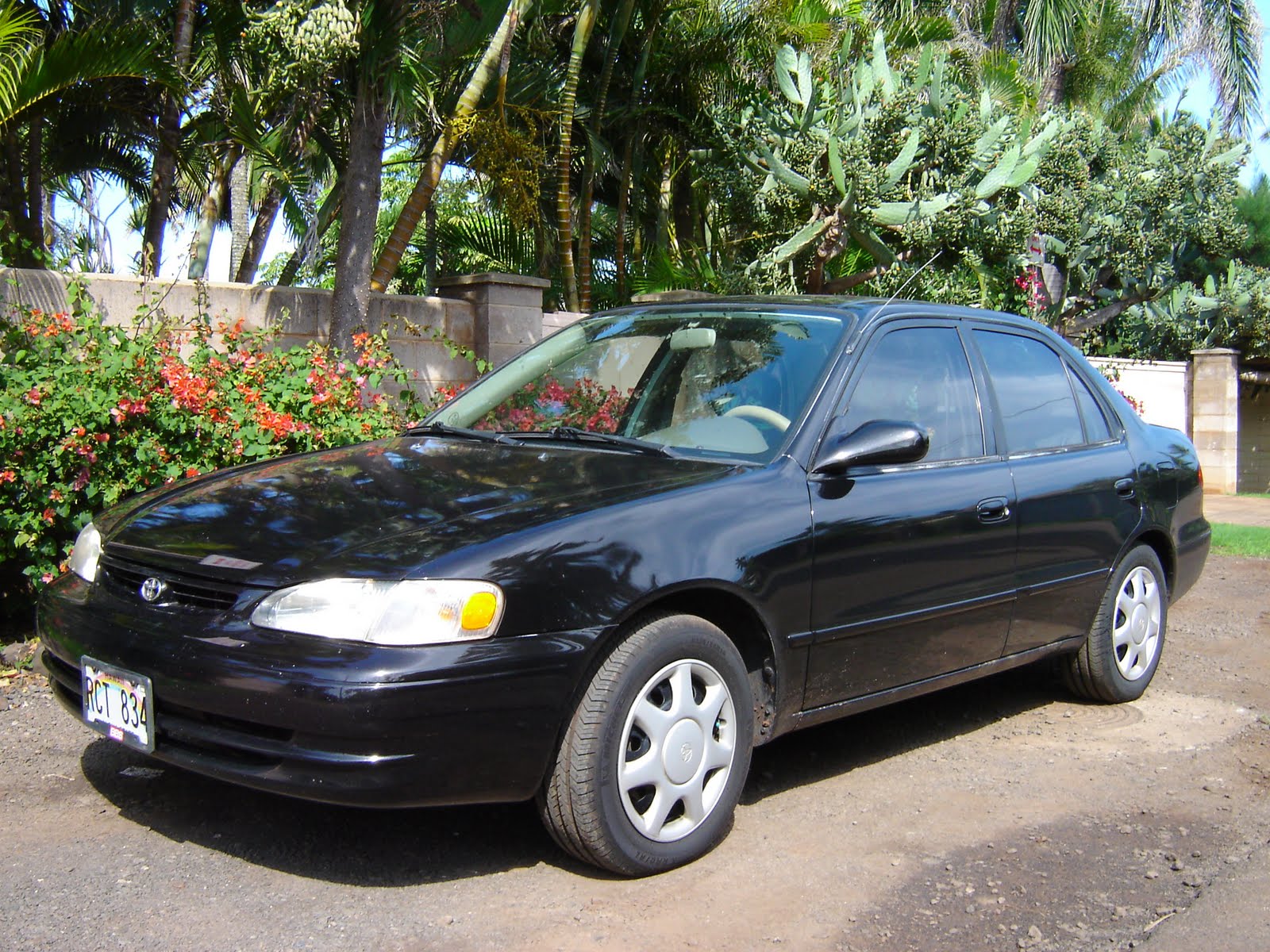 Maui Rental Cars - Frank's Friendly Cars Maui Car Rental LLC