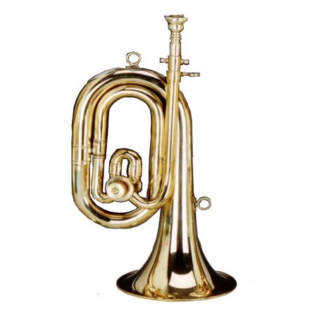 Un mundo de instrumentos: La corneta