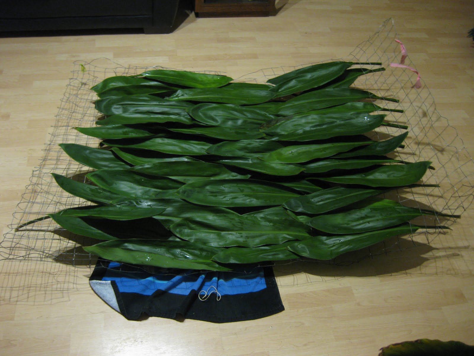 Lumsden FLorist etc.: Hawaiian Luau - How to Pit Roast a Pig