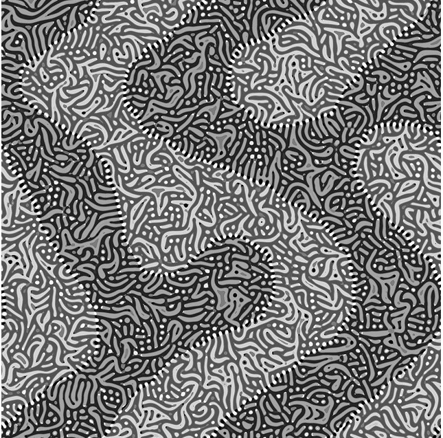 Life of a Lab Rat: August 2010