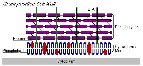 Life of a Lab Rat: August 2010