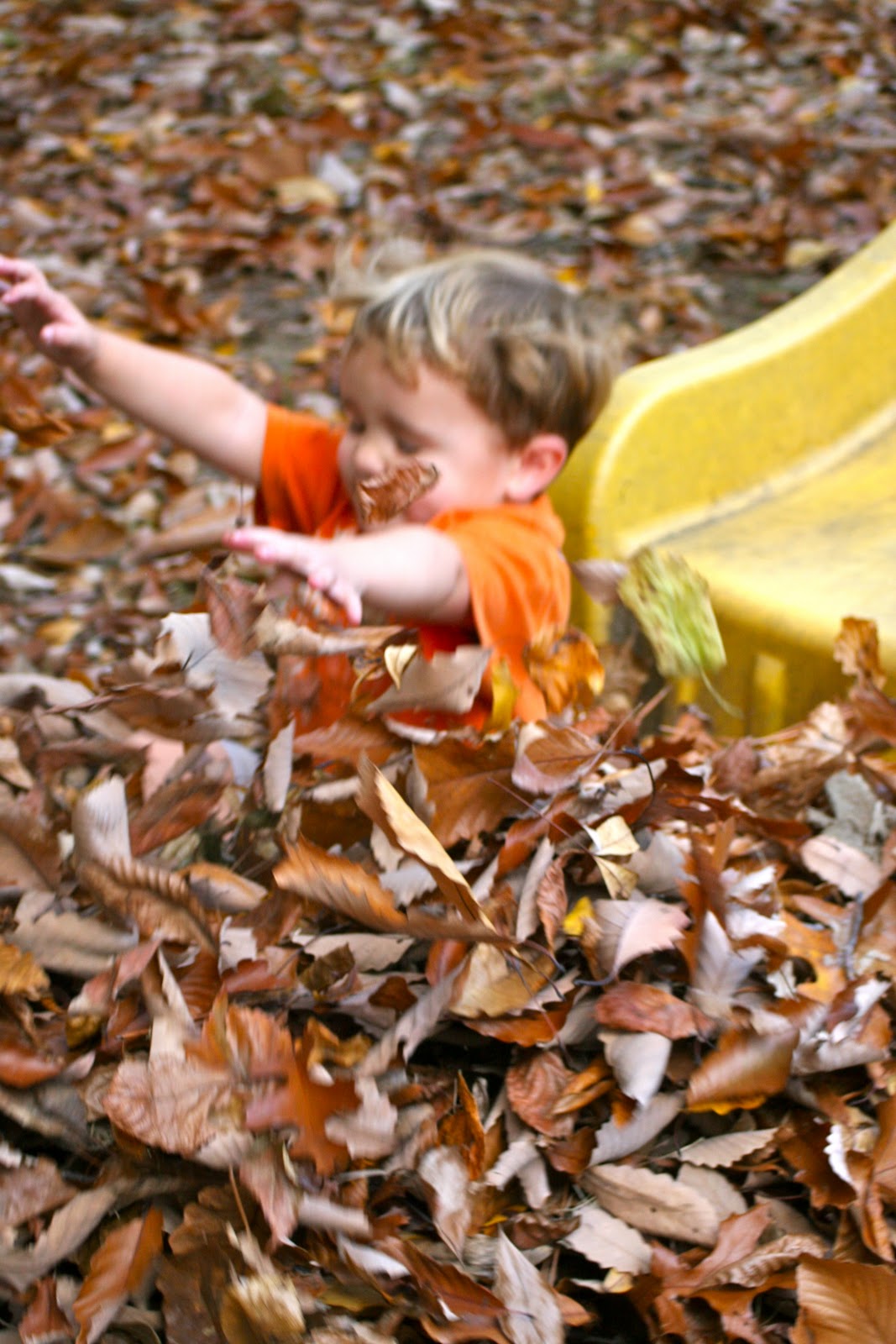 grass stains: GOSH I love Fall