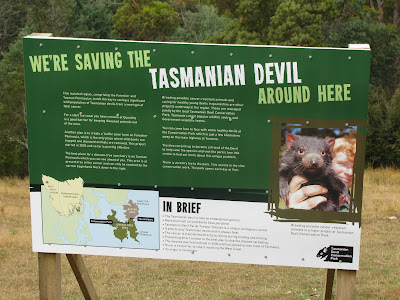 Neduška bloga: Tasmanski vrag