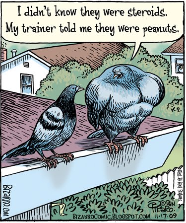 BizarroBlog: Pumped up Pigeon