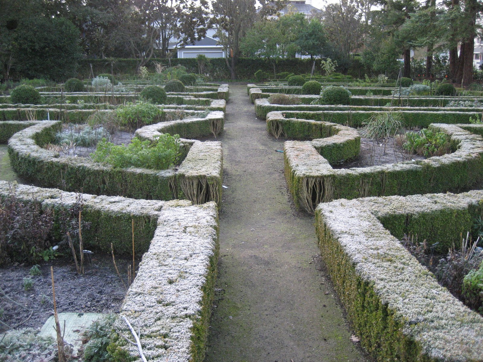 McDonald Mansion, Santa Rosa, CA: McDonald Mansion,