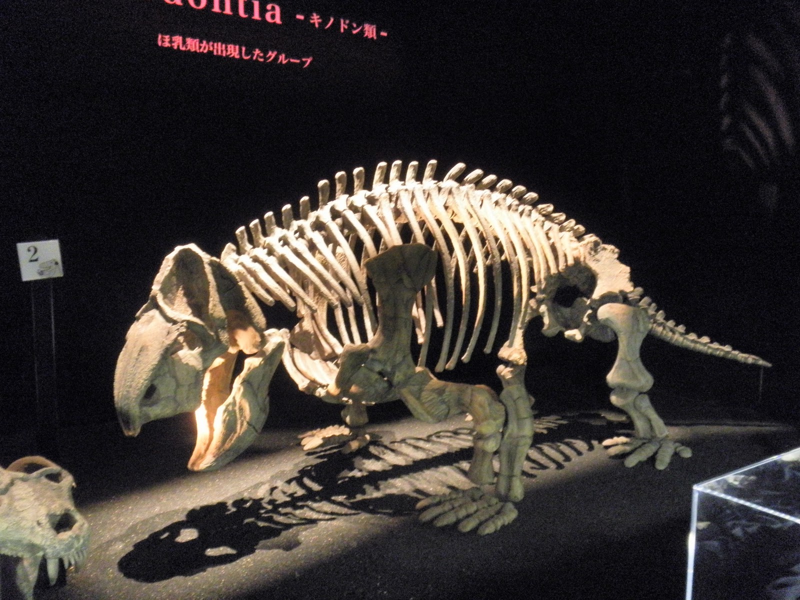 Distant Mirrors: Triassic Treat