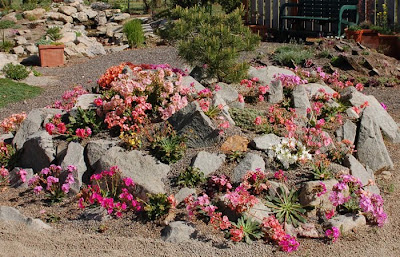 SCIENCE EXPLORERS: Sample Pictures-Rock Garden