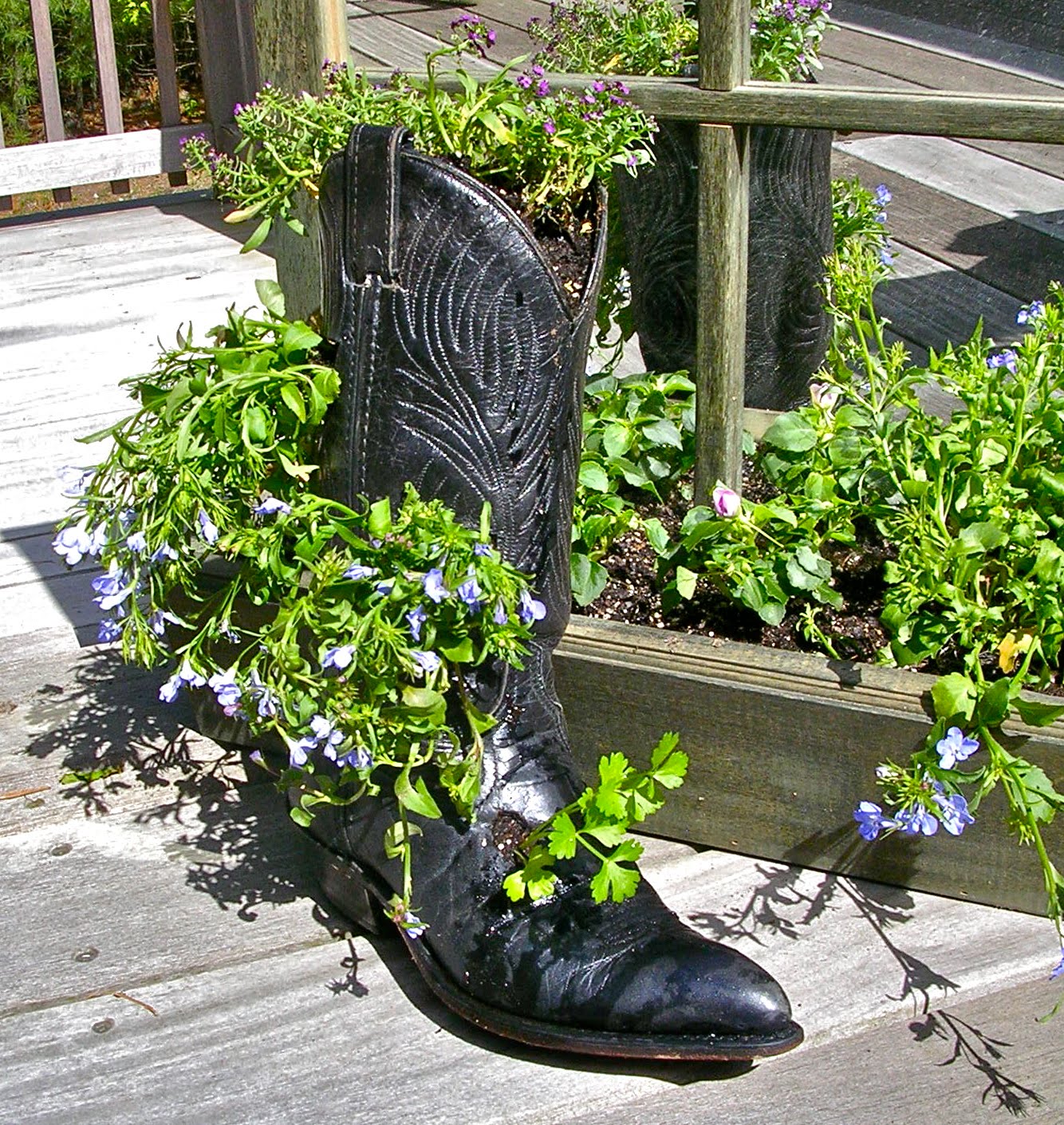 For A Rainy Day: Boots & Flowers