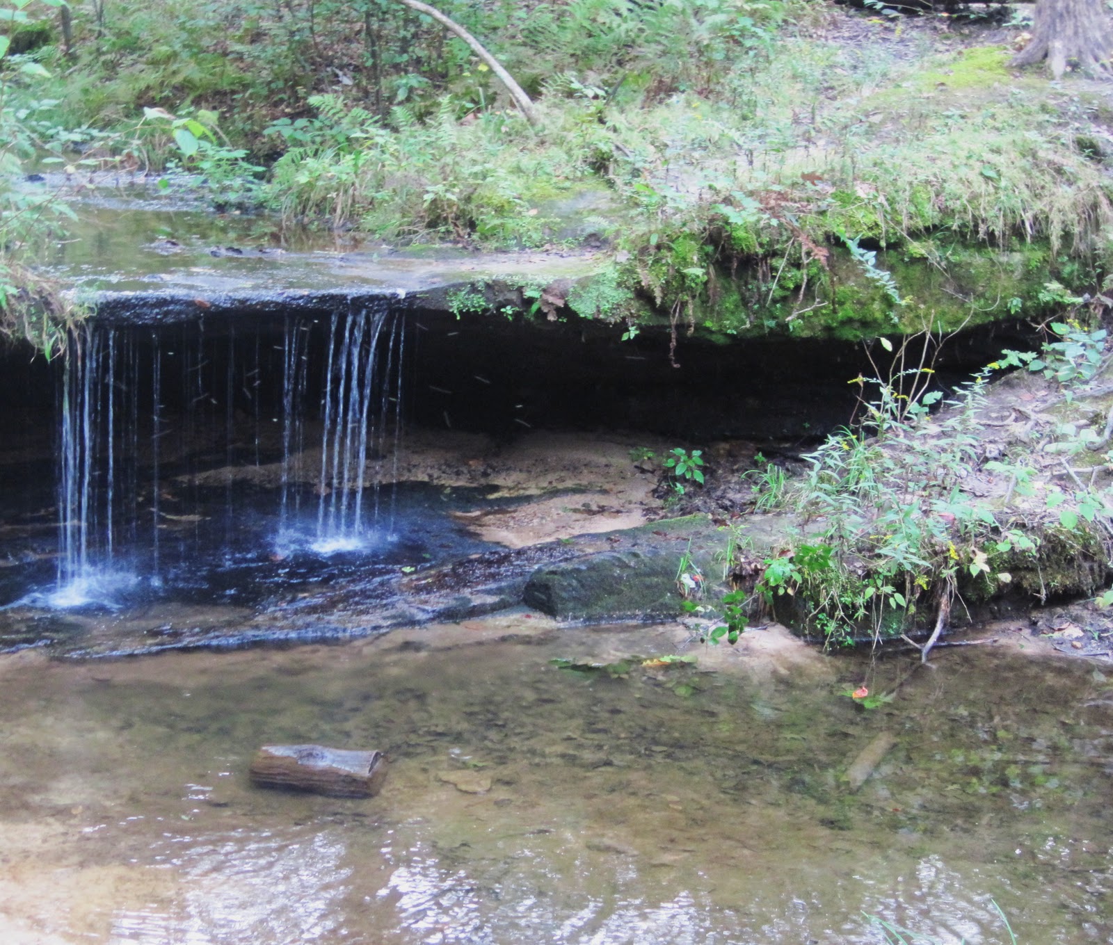 The Schramm Journey: Pickle Springs Natural Area