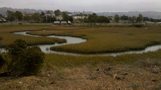 Taking It On: 10/1/10 - 11/1/10