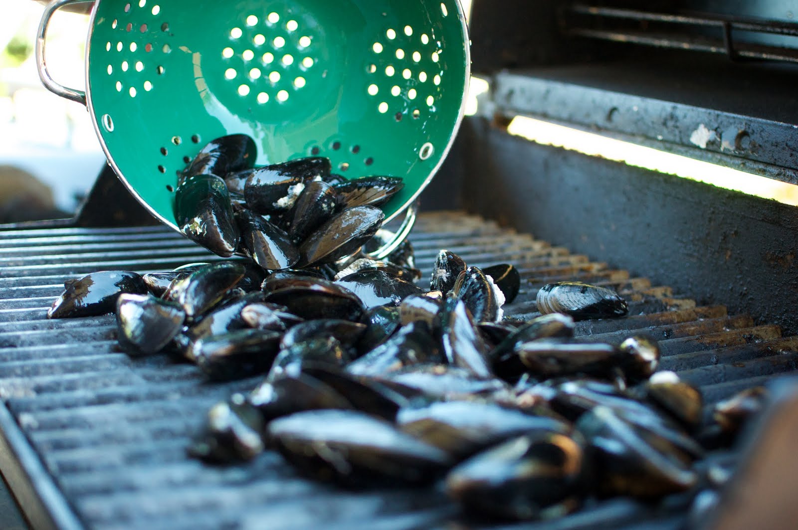 Fish and Veggies: Grilled Mussels in Awesome Sauce