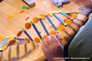 Scotty ART: The DNA Model Project