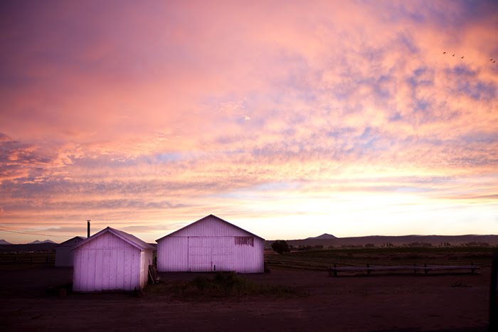 Hayes Photography 541-410-7379: Day #224 of 365 Project