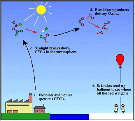 5 PPU SMV AMPANGAN: Chlorofluorocarbons ( CFC )