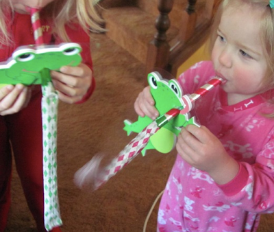 Frogs that catch flies! - Mommy Moment