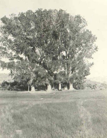 David Keele and Eliza Jane Geary Family History: David Keele and Eliza ...