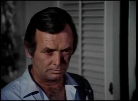 Made for TV Mayhem: David Janssen (1931 -1980)