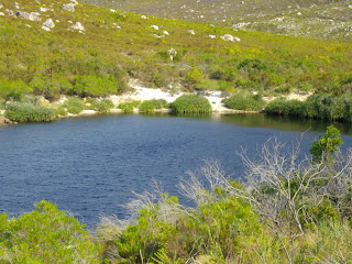 Walking the Cape: Kogelberg: Palmiet River Trail