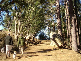 Walking the Cape: Contour Path: Constantia Nek to Newlands